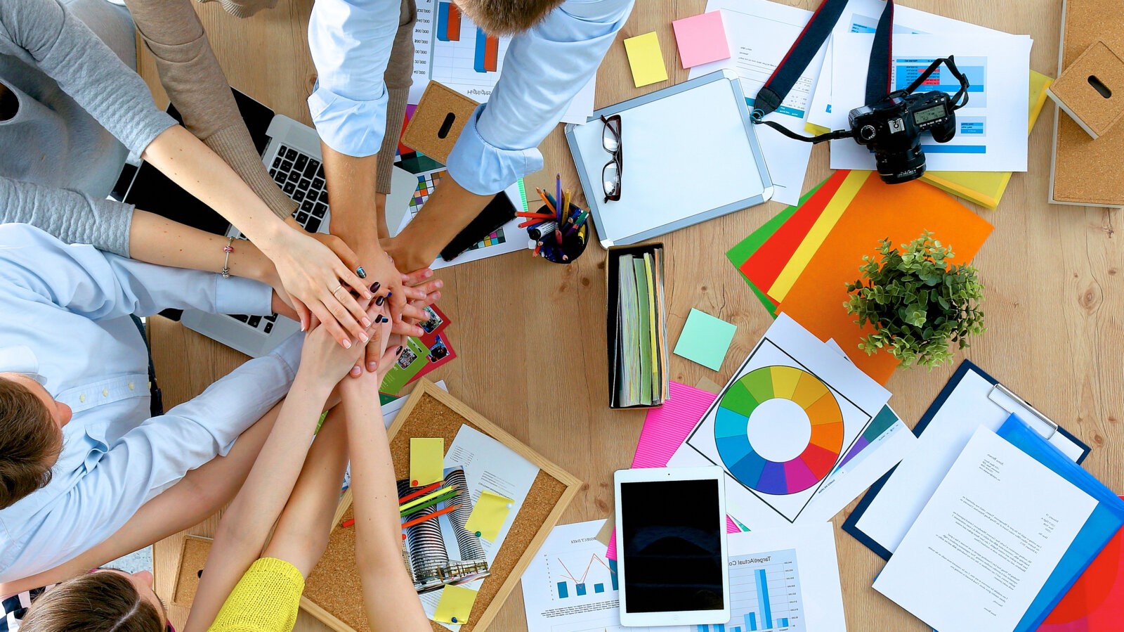 5 Tricks to Building a Positive Team - Natural Training